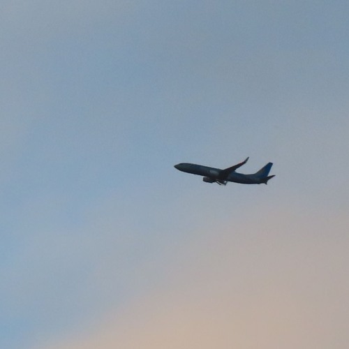 Stream Staying by Lizzy McAlpine (trial cover) by shan ( ﾟ ﾟ)ノ | Listen ...