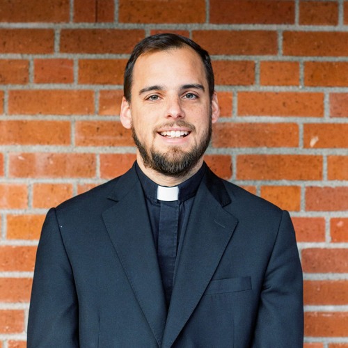 Stream 28th Sunday in Ordinary Time - Fr. Maximo Stock by SMCC | Listen ...