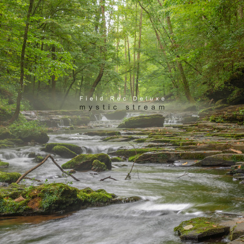 Stream Stream for Mind Balance by Field Rec Deluxe | Listen online for ...