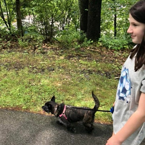 Stream This Site Can't Be Reached by David Laffin | Listen online for ...