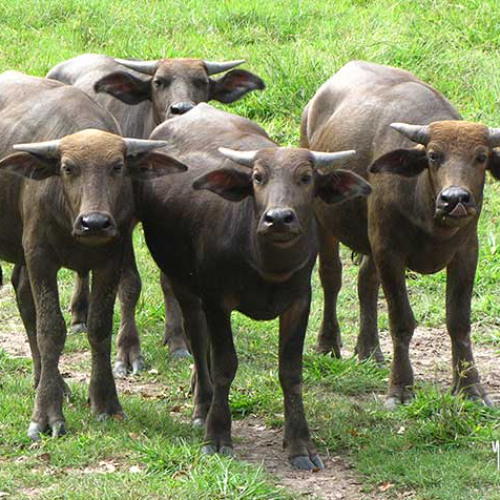 Stream . [d] by syn beta | Listen online for free on SoundCloud