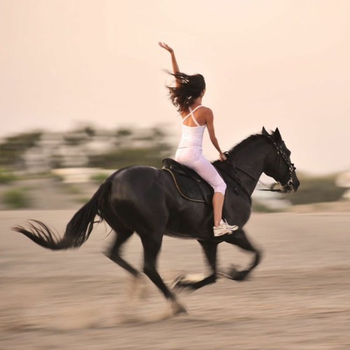 Stream GALOPOM REC - 2023 - 06 by Uncle Pablo | Listen online for free ...