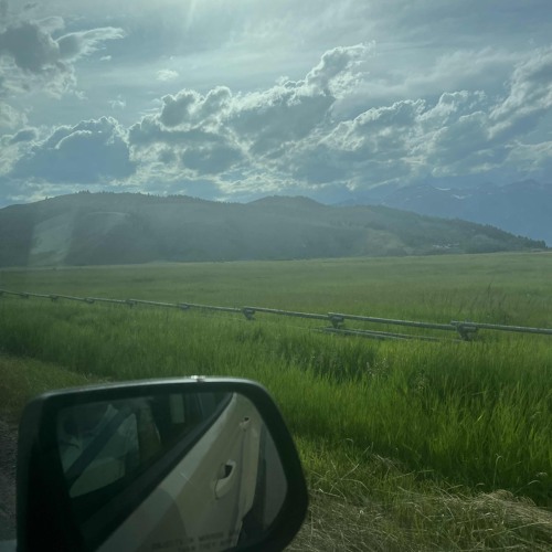 Stream whats the plan - Lil Speed x Chicken by Lil Speed | Listen ...