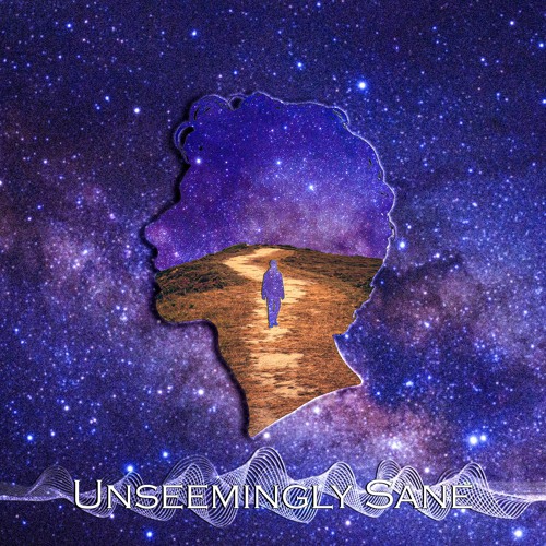 Stream Unseemling Sane by Sonic Manifestation | Listen online for free ...