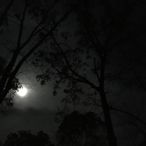 Stream one path by timesake | Listen online for free on SoundCloud