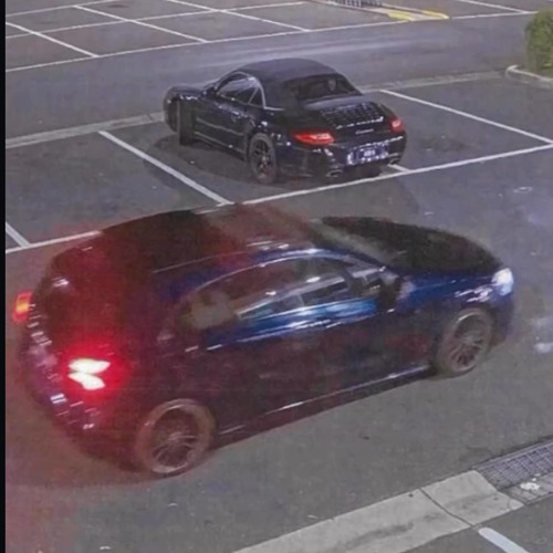 Stream BABYMSAVV 🤍 | Listen to Poxy dog💸 playlist online for free on ...