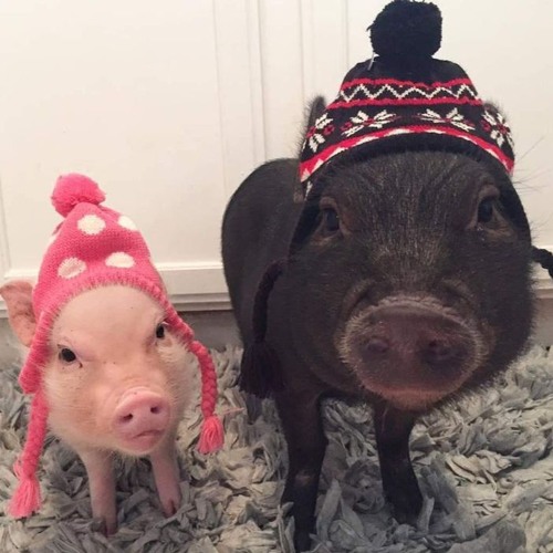 Stream Yeat, Don Toliver - Heavy Stunts(Speed Up) by D1MS | Listen ...