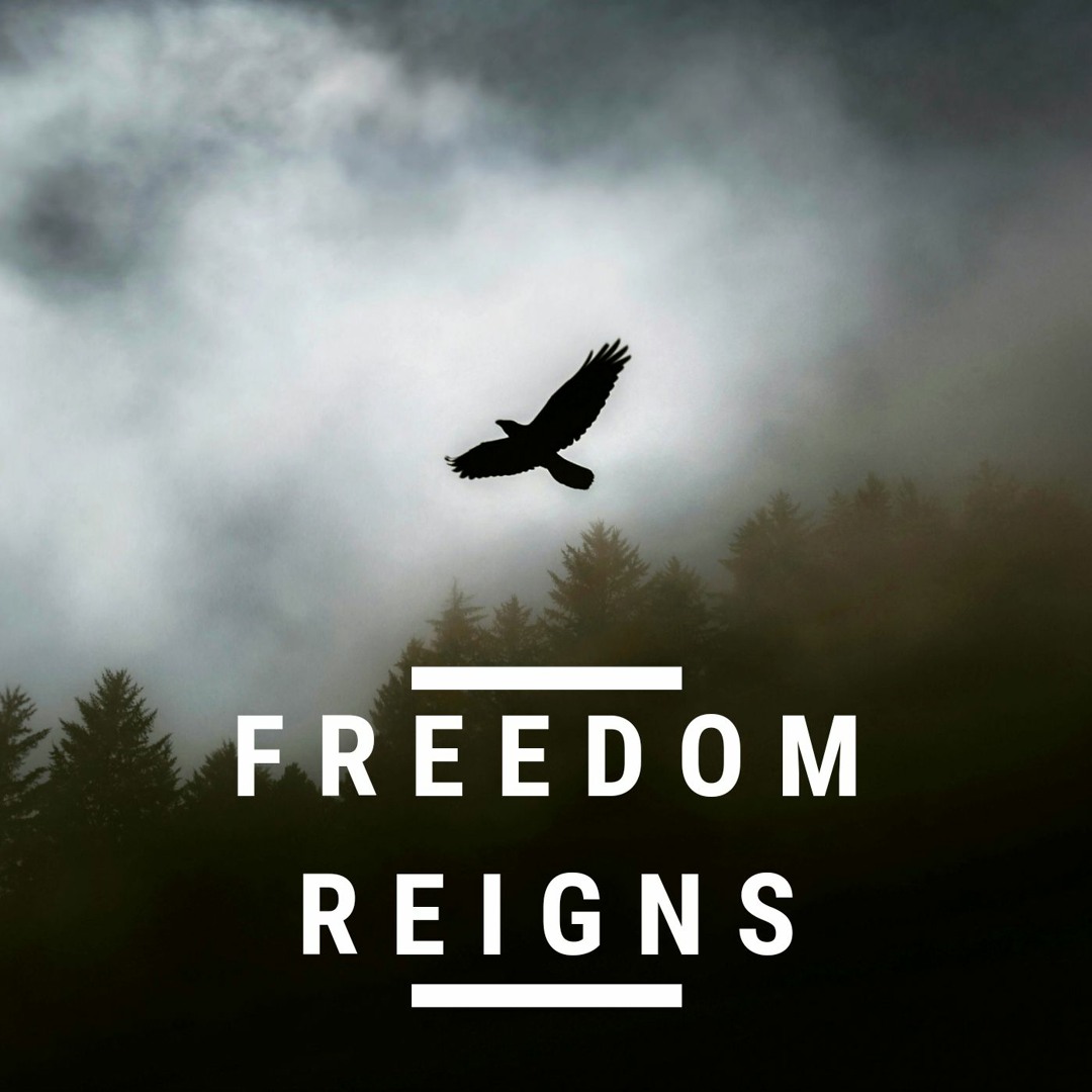 Stream Freedom Reigns by Hardware | Listen online for free on SoundCloud