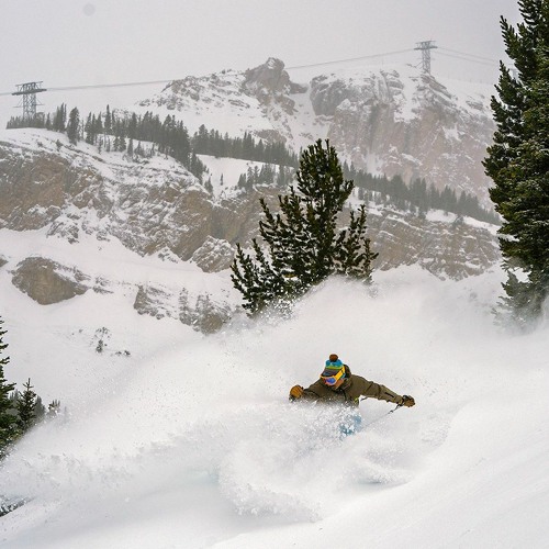 Stream Tuesday January 9th, 2024. by Jackson Hole Snow Report | Listen ...