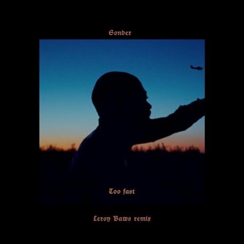 Stream Sonder - Too Fast (Leroy Baws Remix) by Leroy Baws | Listen ...