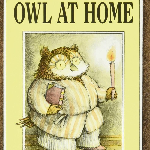 Owl At Home