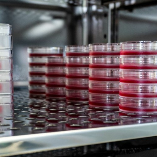 Stream episode Incorporating incubation monitoring into your cell ...