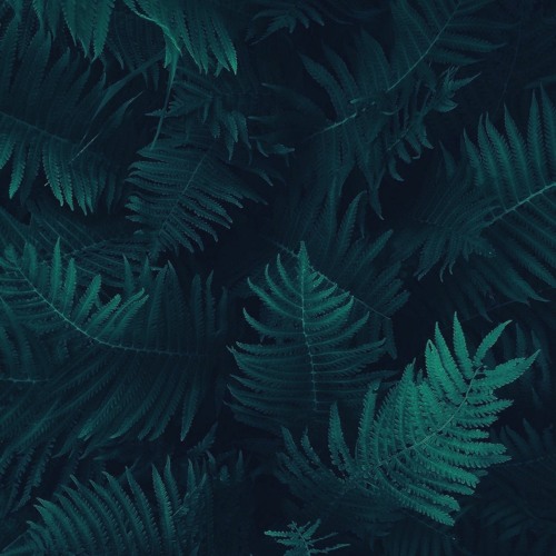 Stream Awesome Sitar and Spoken Words - Vibe for New Moods by Healing ...