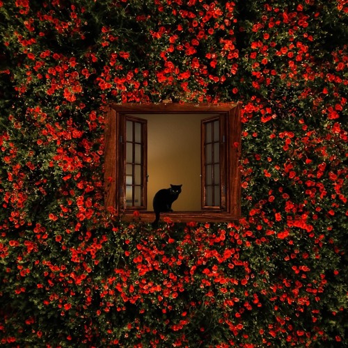 Stream Jeanette Nguyen | Listen to Chaos playlist online for free on ...