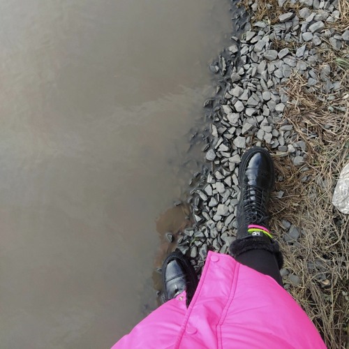 Stream Techno Godzilla (rain remix) by maximoto | Listen online for ...