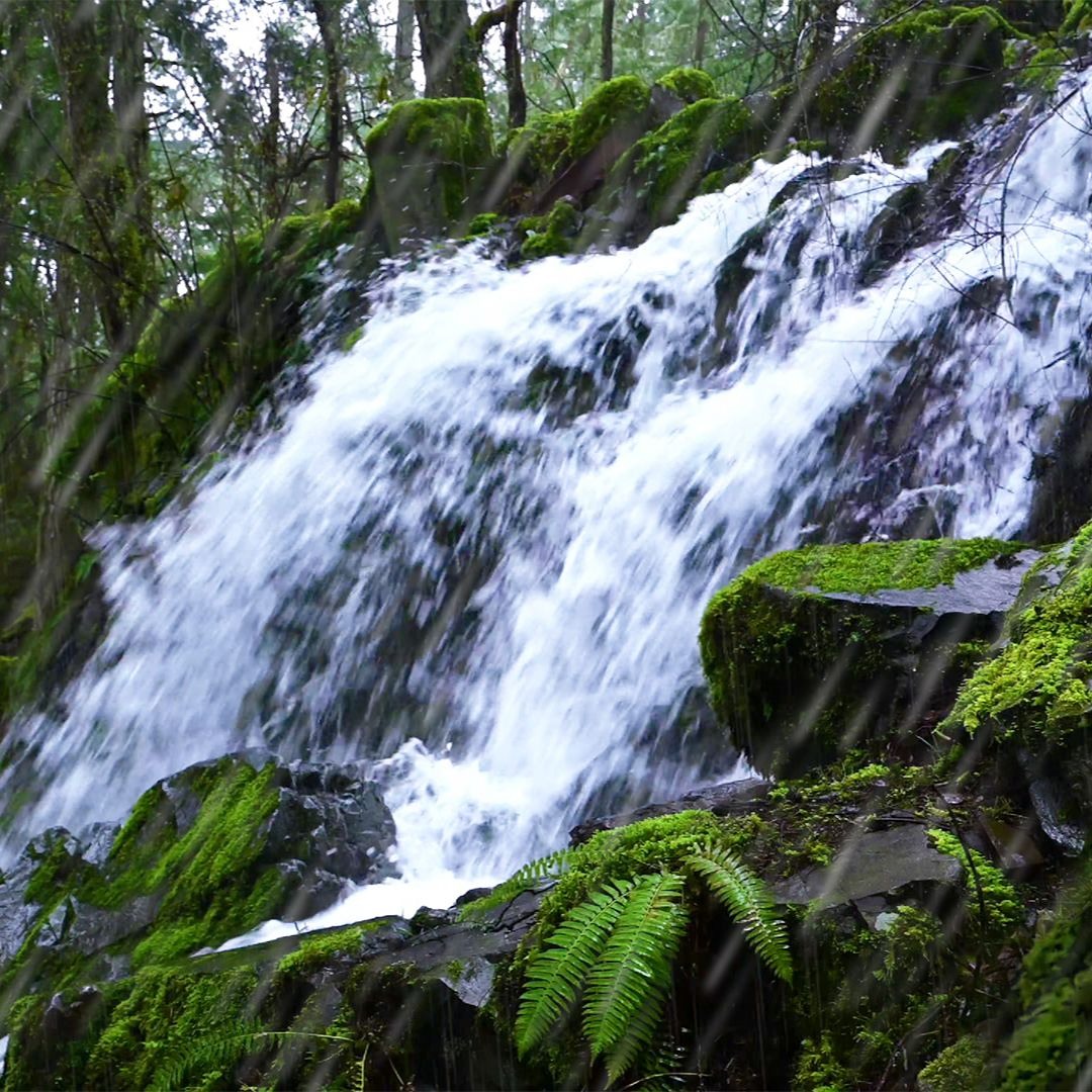 Stream Waterfall & Rain Sounds In Peaceful Forest (75 Minutes) by ...
