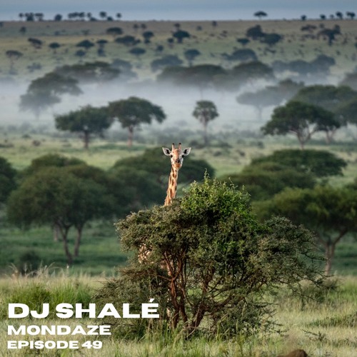 Stream Jay Shalé - Mondaze Ep 49 by Jay Shalé | Listen online for free ...