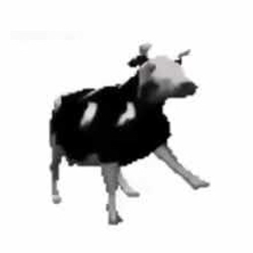 Stream How Long ( Vaca Polaca ) by Gekorama | Listen online for free on ...