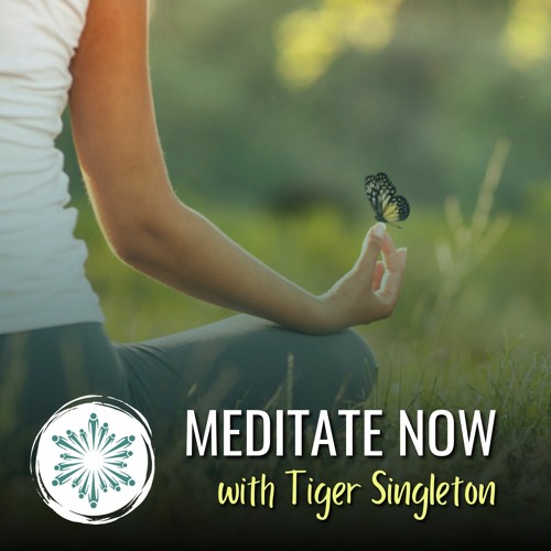 Stream HeartBased.io / Tiger Singleton | Listen to Meditate Now - Podcast playlist online for ...