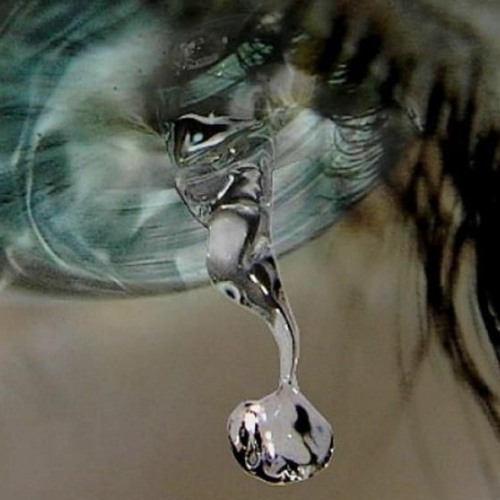 Stream War In Israel by Susan Daigle | Listen online for free on SoundCloud