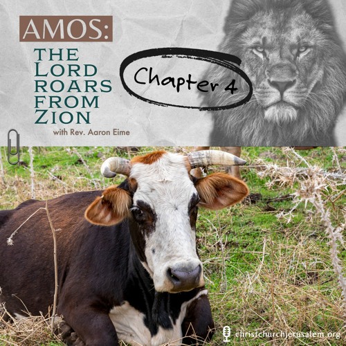 Stream Amos Chapter 4: The Burden of the Lord | Aaron Eime by Christ ...