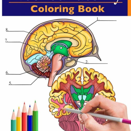 Stream [PDF] Neuroanatomy Coloring Book: Incredibly Detailed Self-Test ...