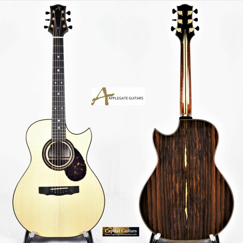 Stream Applegate SJ 45 2011 Amplified Ch1 by Capital Guitars | Listen ...