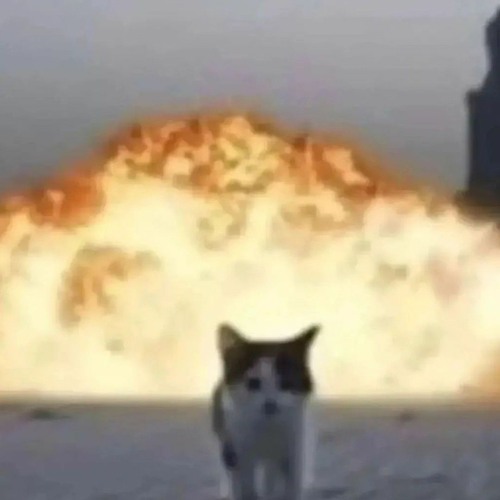 Stream megasonya228 | Listen to 🐈‍⬛ playlist online for free on SoundCloud