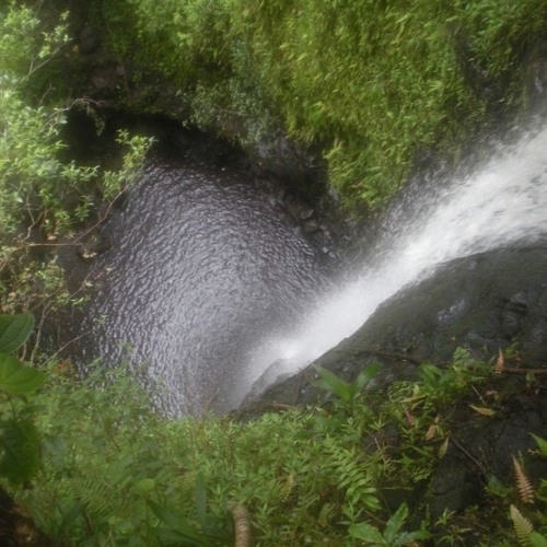 Stream Soft Blade - Мотылек (стихи И. Бродский 1960г) by ؜ | Listen ...