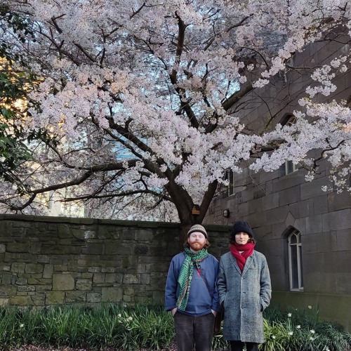 Stream Outsiders: Objects & Sounds w/ Gareth Quinn Redmond & Albert ...