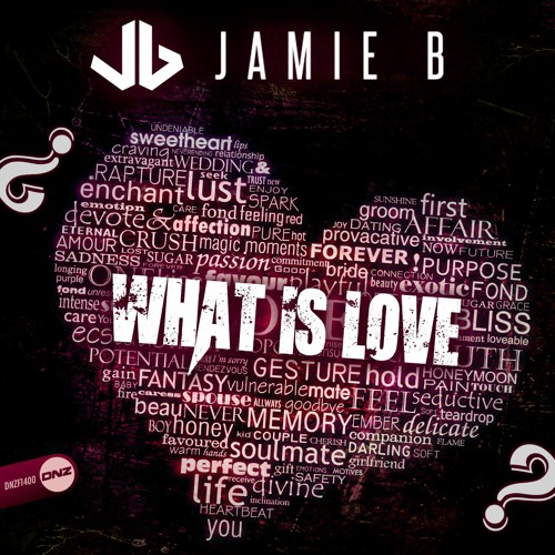 Stream Jamie B - What Is Love by DNZ Records | Listen online for free ...