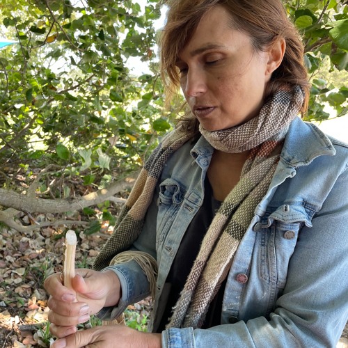 Stream Delvene Cockatoo-Collins on the importance of generations of ...