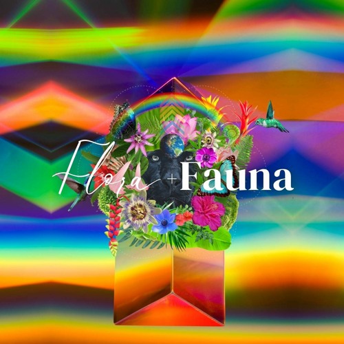 Stream Flora + Fauna Ecstatic Dance set by FLORA+FAUNA | Listen online ...