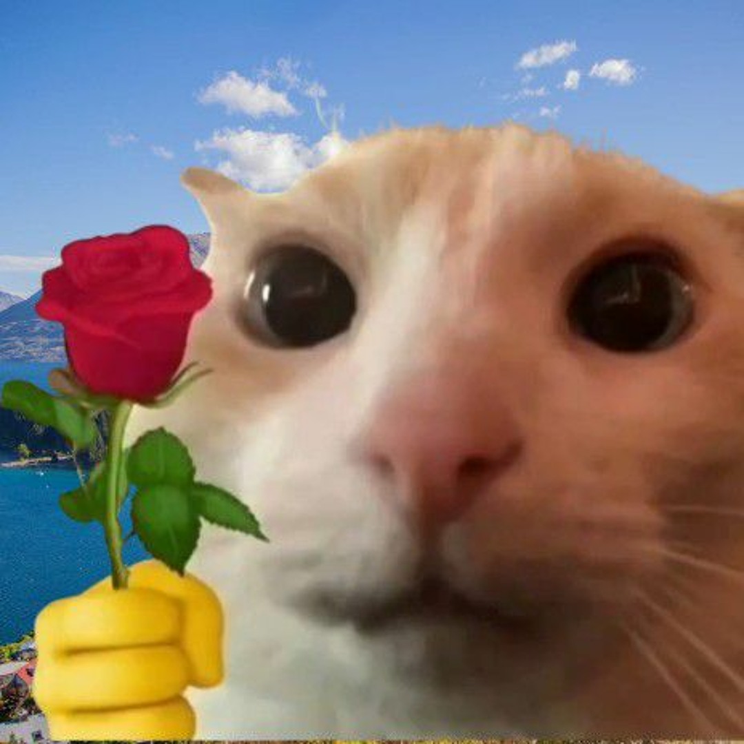 Stream see You again - Tyler the creator~ vr. tik tok? by Fran Lemus ...