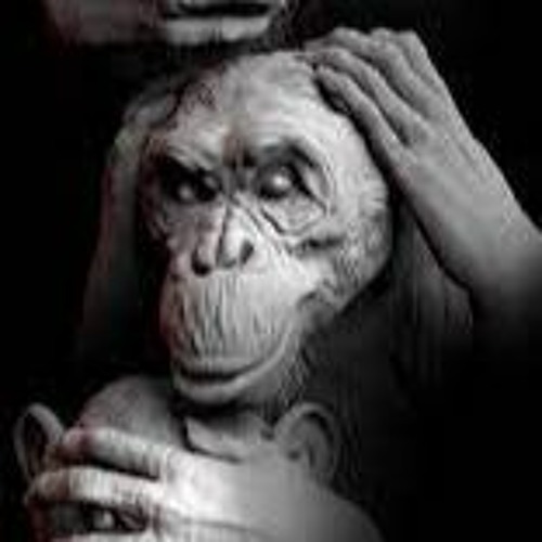 Stream Tatuajul și înțelesul legii celor trei maimuțe from Tattoo TV ...