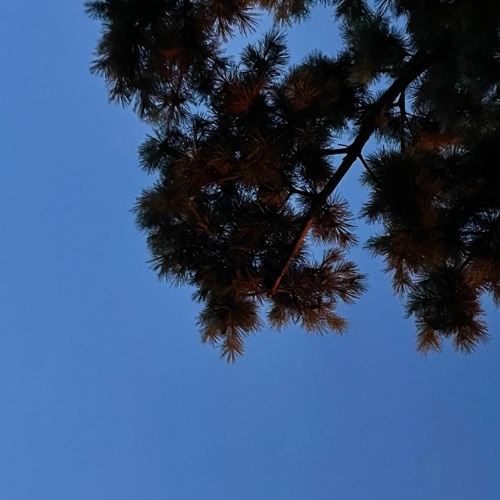 Stream Fallin by Jollt | Listen online for free on SoundCloud