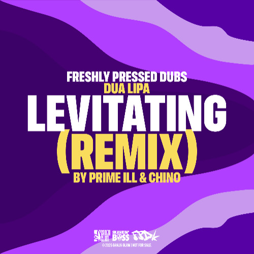 Stream Levitating Remix by Freshly Pressed Dubs by Ganja Glam | Listen ...