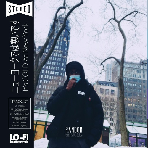 Stream Random Nation NYC | Listen to Random Nation - It's COLD At New ...