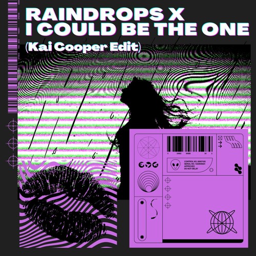 Stream Raindrops X I Could Be The One (Kai Cooper Edit) by Kai Cooper ...