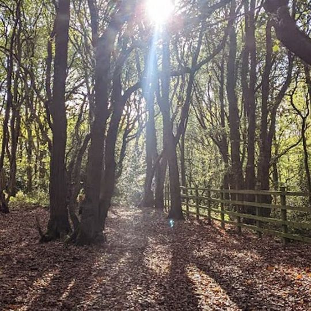 Stream episode 1 - Introduction by Loughborough University podcast | Listen online for free on ...