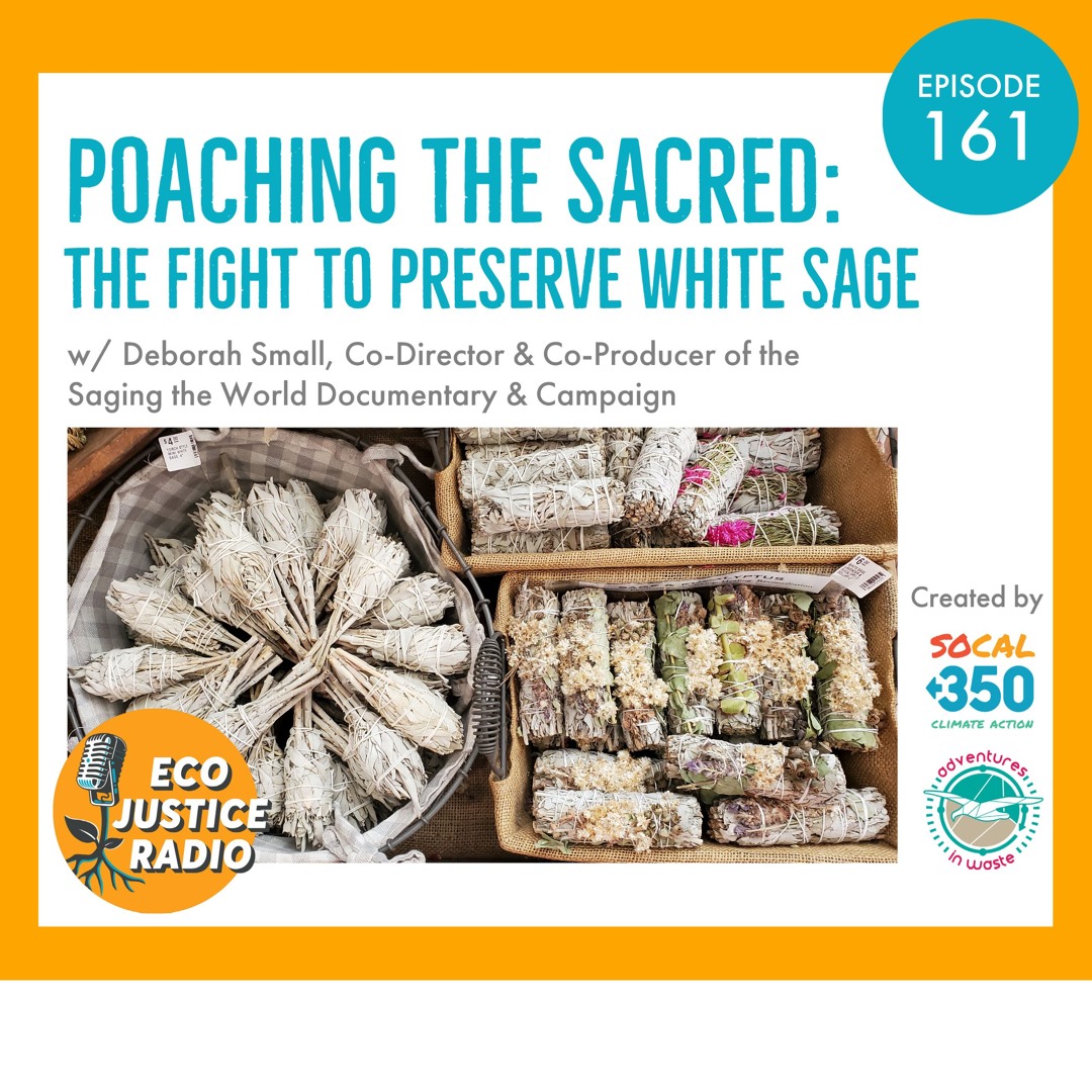 Stream episode Poaching the Sacred: The Fight to Preserve White Sage by ...