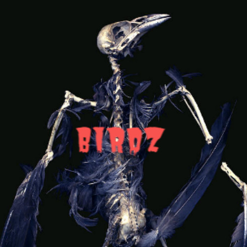 Stream BIRDZ by TRIPZ | Listen online for free on SoundCloud