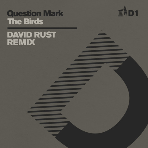 Stream Question Mark, David Rust - The Birds (David Rust Extended Remix ...