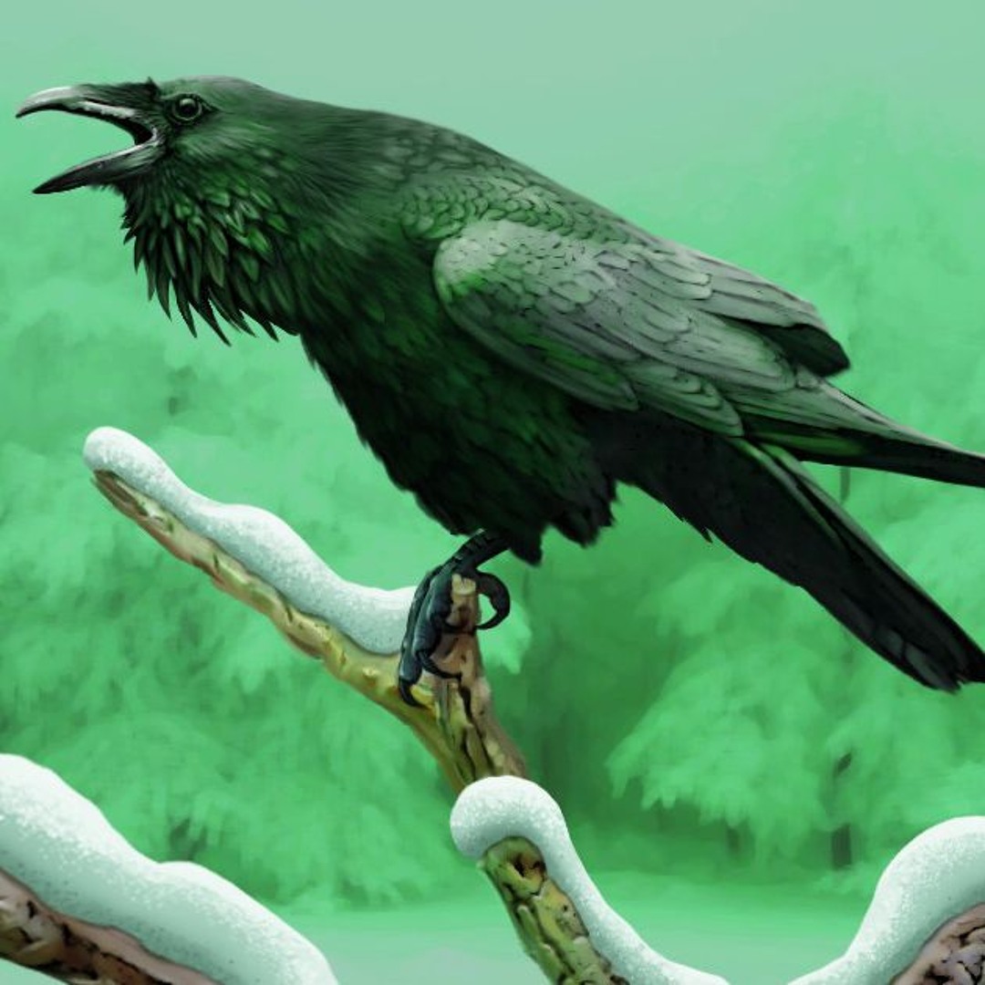 Stream Raven Singing by Richard Callin | Listen online for free on ...