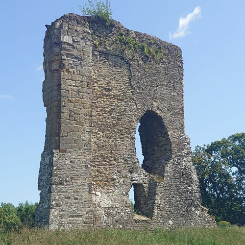 Stream episode Investigating Knepp Castle by Richard Nevell podcast ...