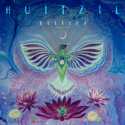 Huitzil Hummingbird