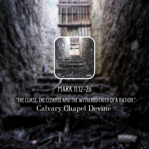 Stream Mark 11 12 26 The Curse The Cleanse And The Withered Faith Of stream-mark-11-12-26-the-curse-the-cleanse-and-the-withered-faith-of