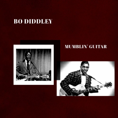 Stream The Story of Bo Diddley by Bo Diddley | Listen online for free ...