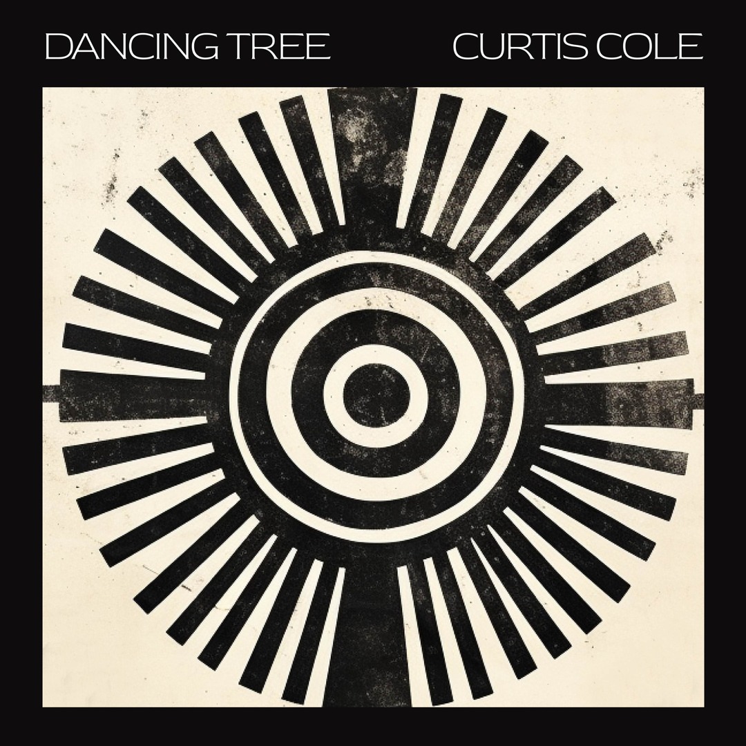 Stream Dancing Tree by Curtis Cole | Listen online for free on SoundCloud