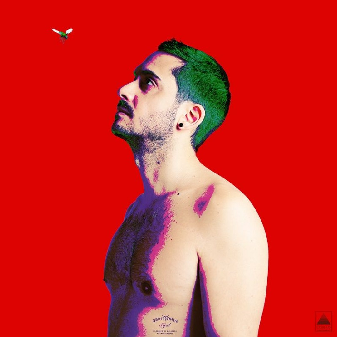 Stream Sijal | Listen to Serotonin playlist online for free on SoundCloud